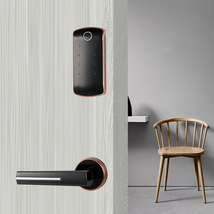 Kunci Pintu Kata Sandi WiFi Kunci Pintu Keypad Layar Sentuh ANSI